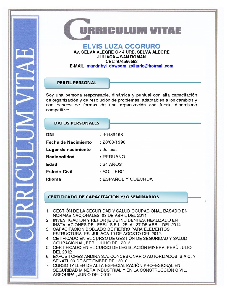 Curriculumm Vtae | PDF