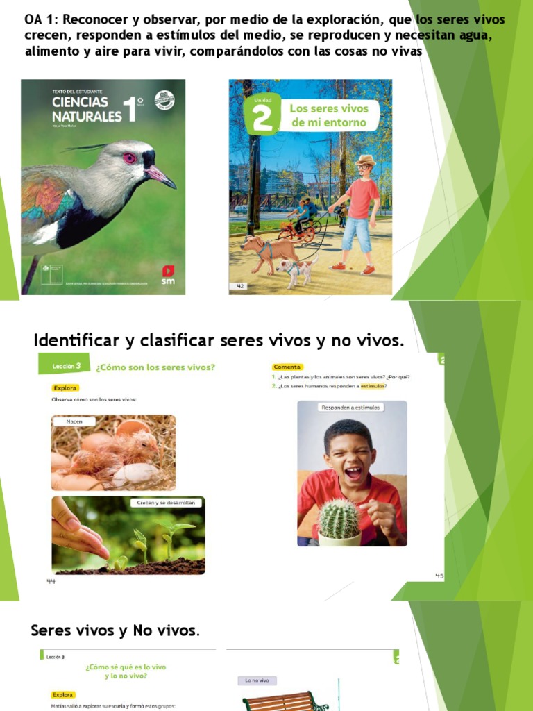 Seres Vivos y No Vivos | PDF