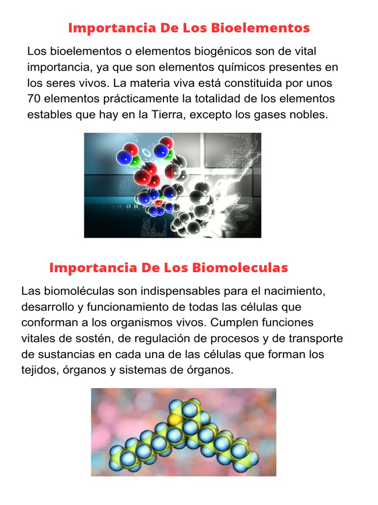 Importancia de Los Bioelementos | PDF