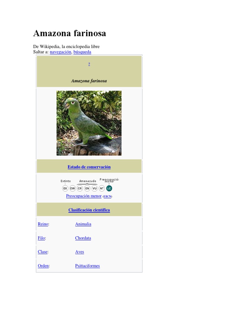 Loro Amazona Farinosa: Características y Hábitat | PDF | Aves | Tetrápodos