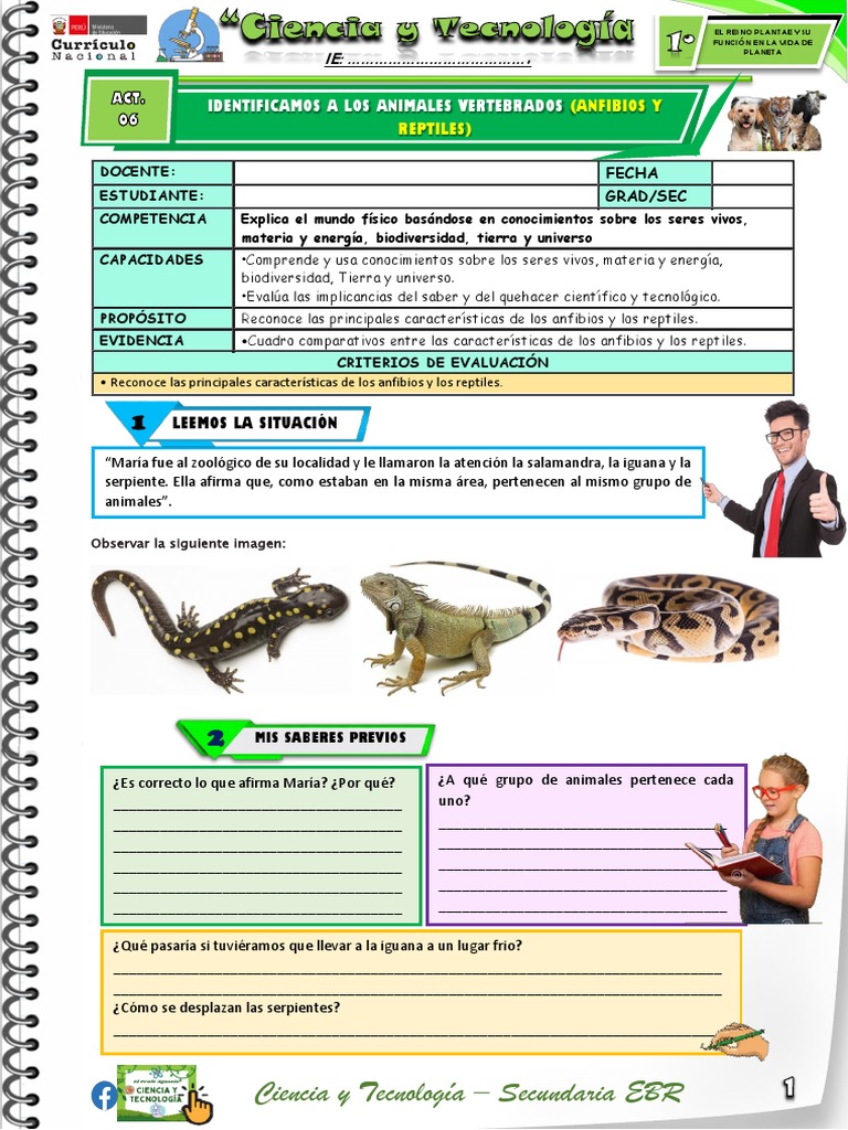 Anfibios y Reptiles: Características | PDF | Rana | Reptil