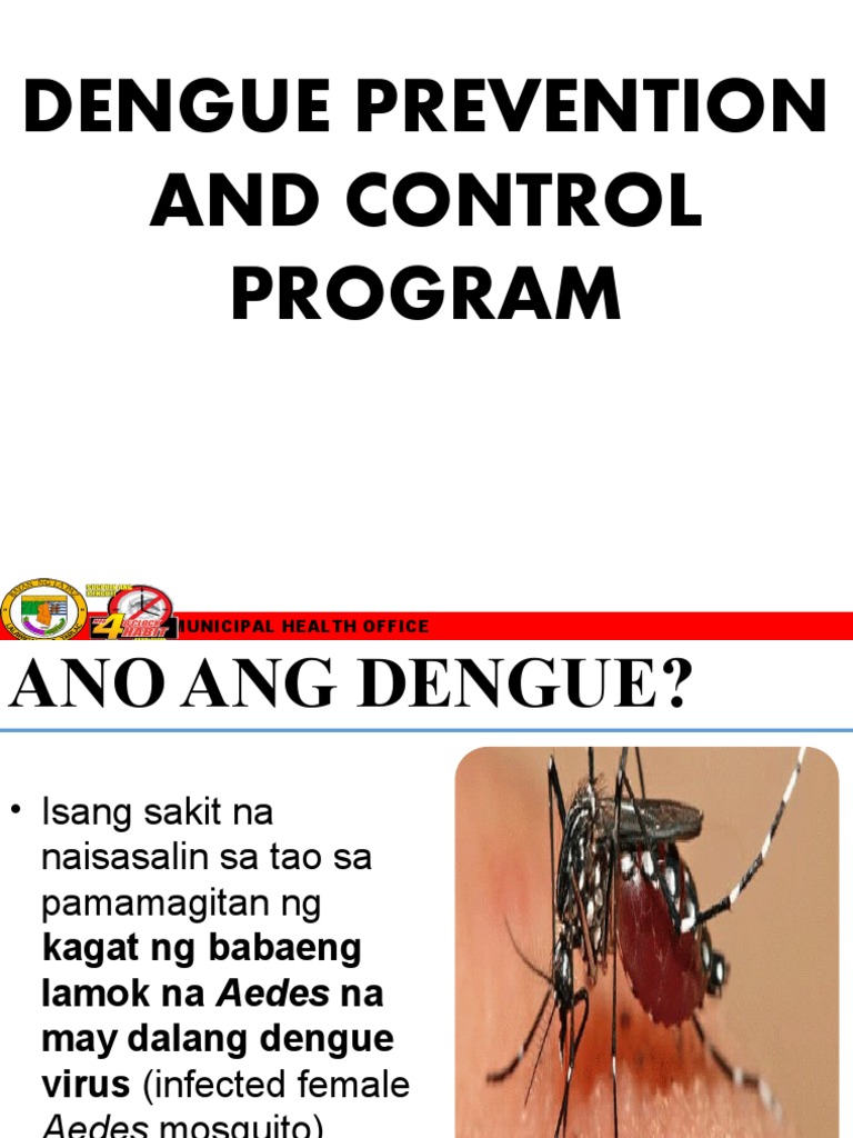 Dengue Presentation Tagalog | PDF