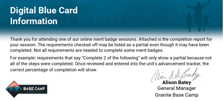 DWC Digital Blue Card Information PDF | PDF