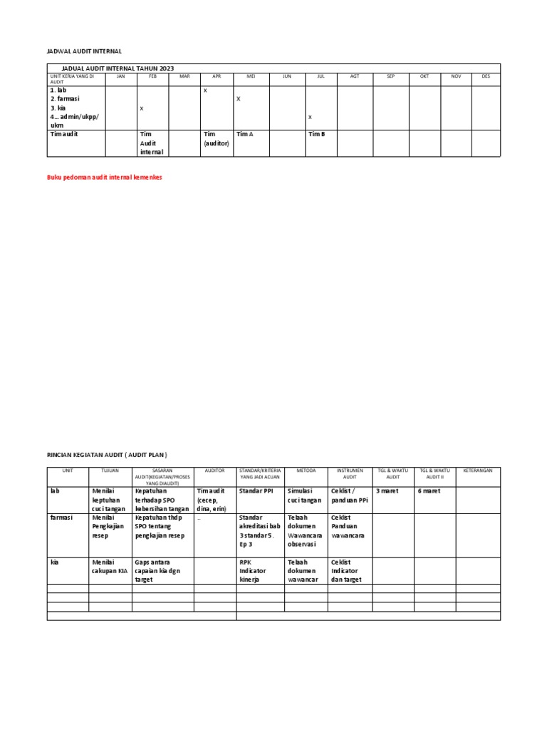 Format-Audit-Internal 2023 | PDF