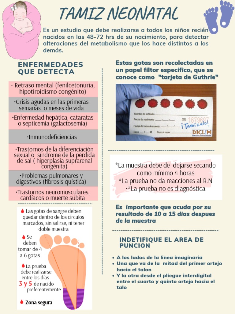 Infografia Tamiz | PDF