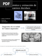 Fórmulas Dentarias | PDF | Diente | Ramas de Odontología