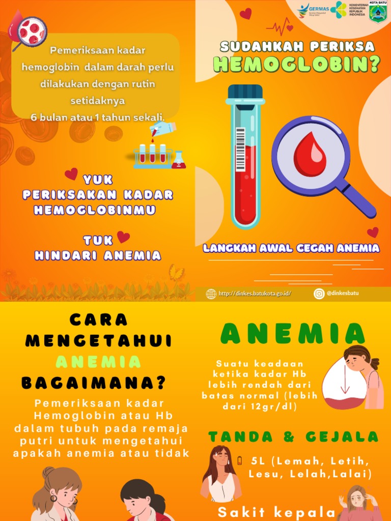 Leaflet Pemeriksaan HB | PDF