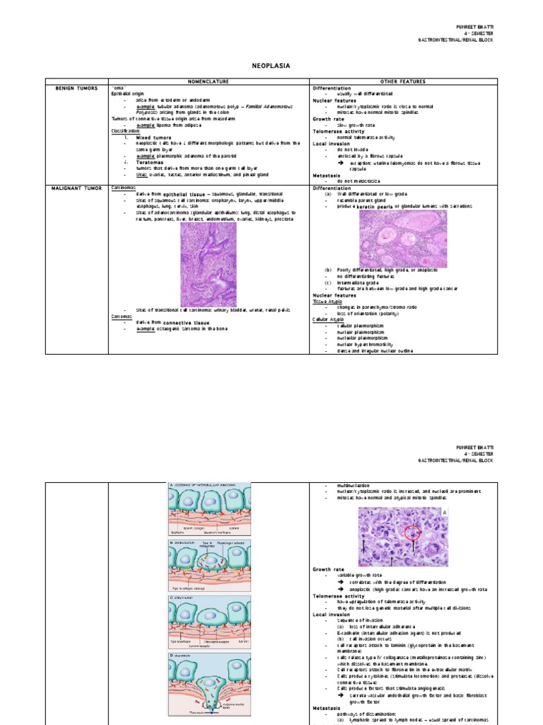Neoplasia Chart | Download Free PDF | Cancer | Metastasis