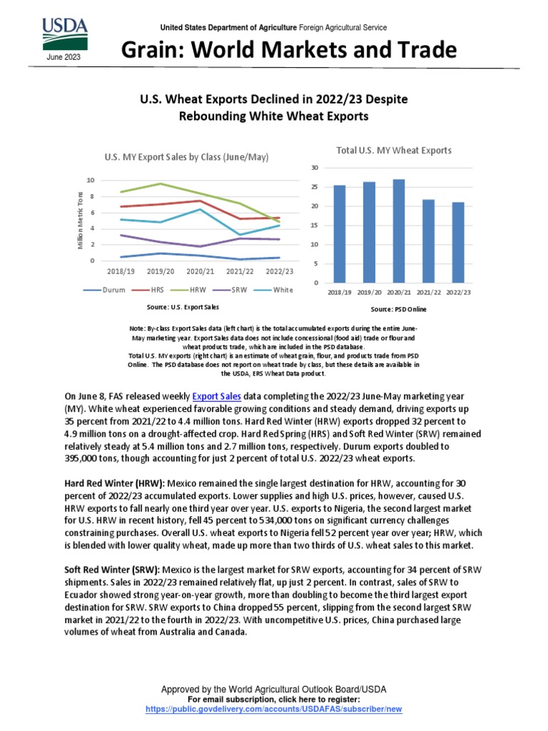Grain | PDF | Rice | Wheat