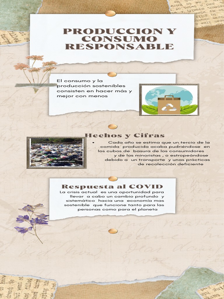 Infografia Los 17 ODS | PDF