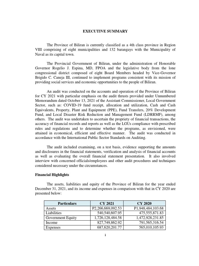 Biliran-Executive-Summary-2021 | PDF | Audit | Financial Statement