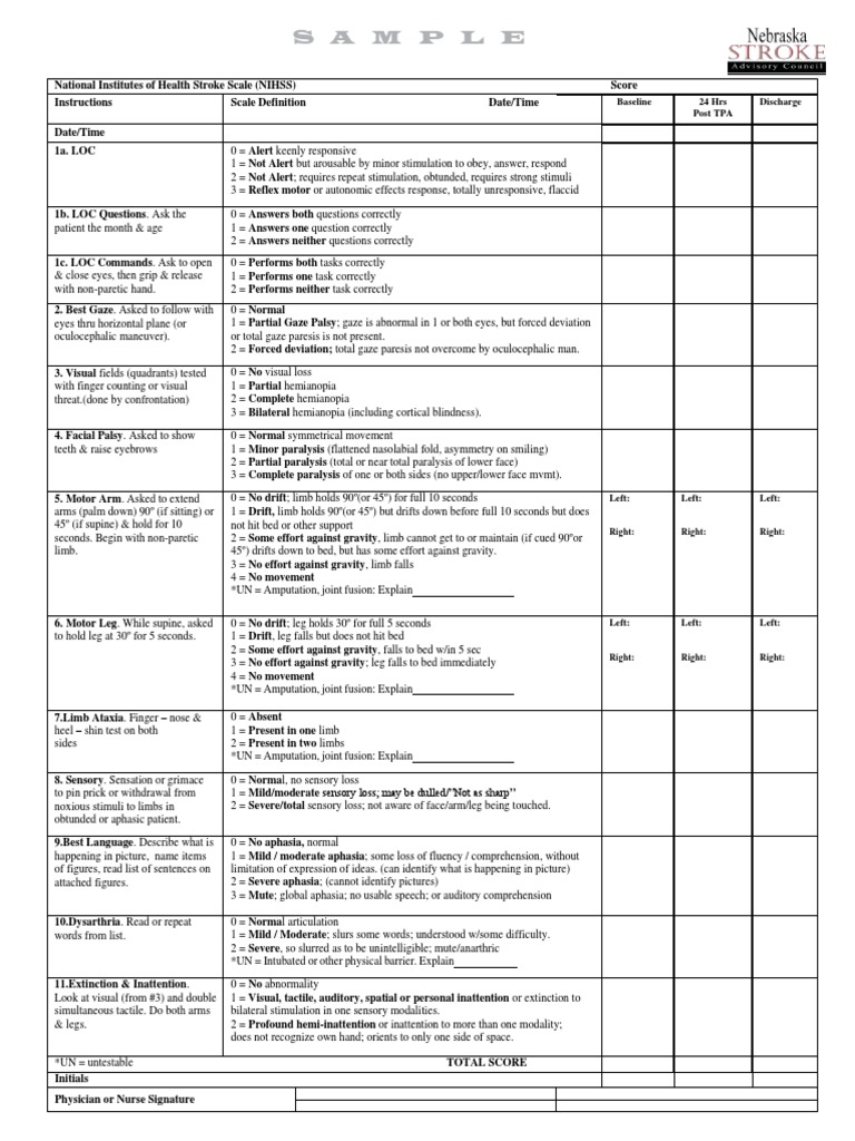 NIHSS One Page | PDF | Neuroscience | Nervous System