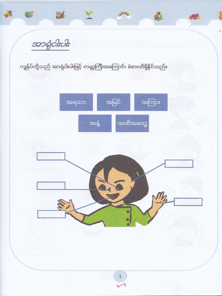 Science Workbook 1 - 20 | PDF