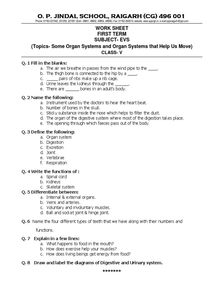 Class 5 EVS Organ Systems Worksheet | PDF | Science & Mathematics