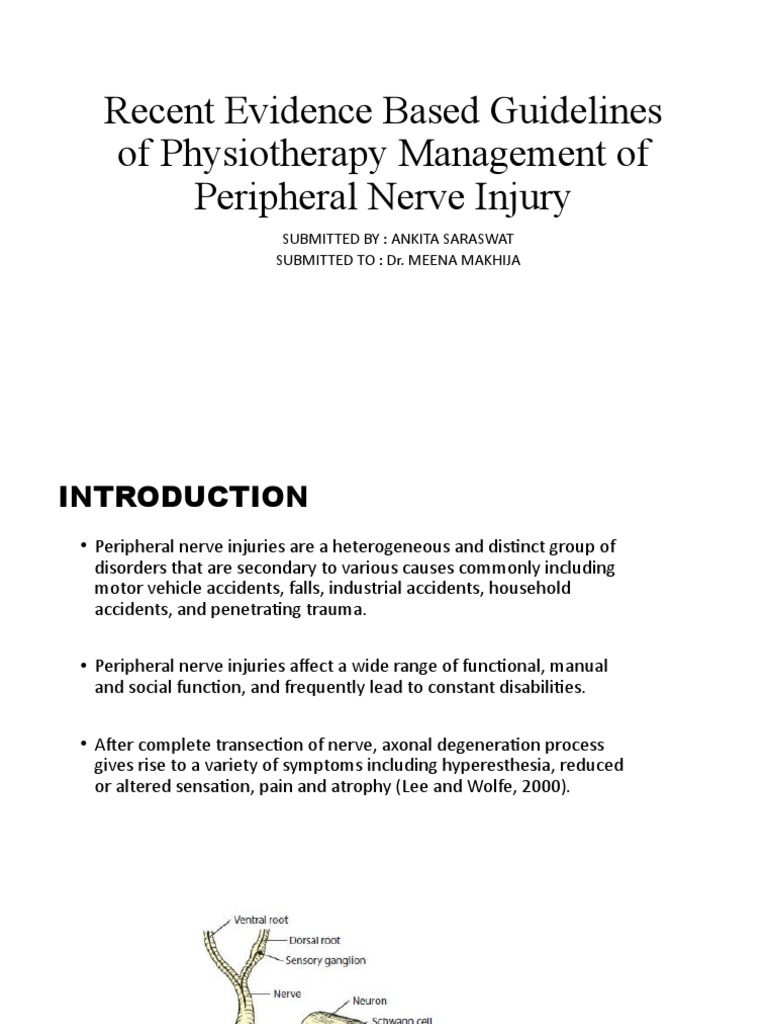 Peripheral Nerve Injury Pdf