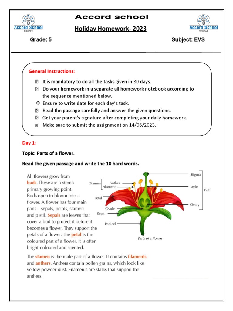 Grade 5 EVS Holiday Assignment | PDF