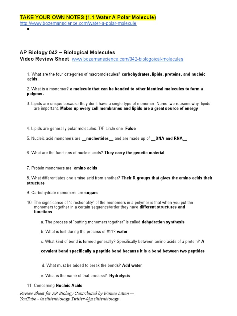 AP Biology: Biological Molecules Overview | PDF | Dna | Rna