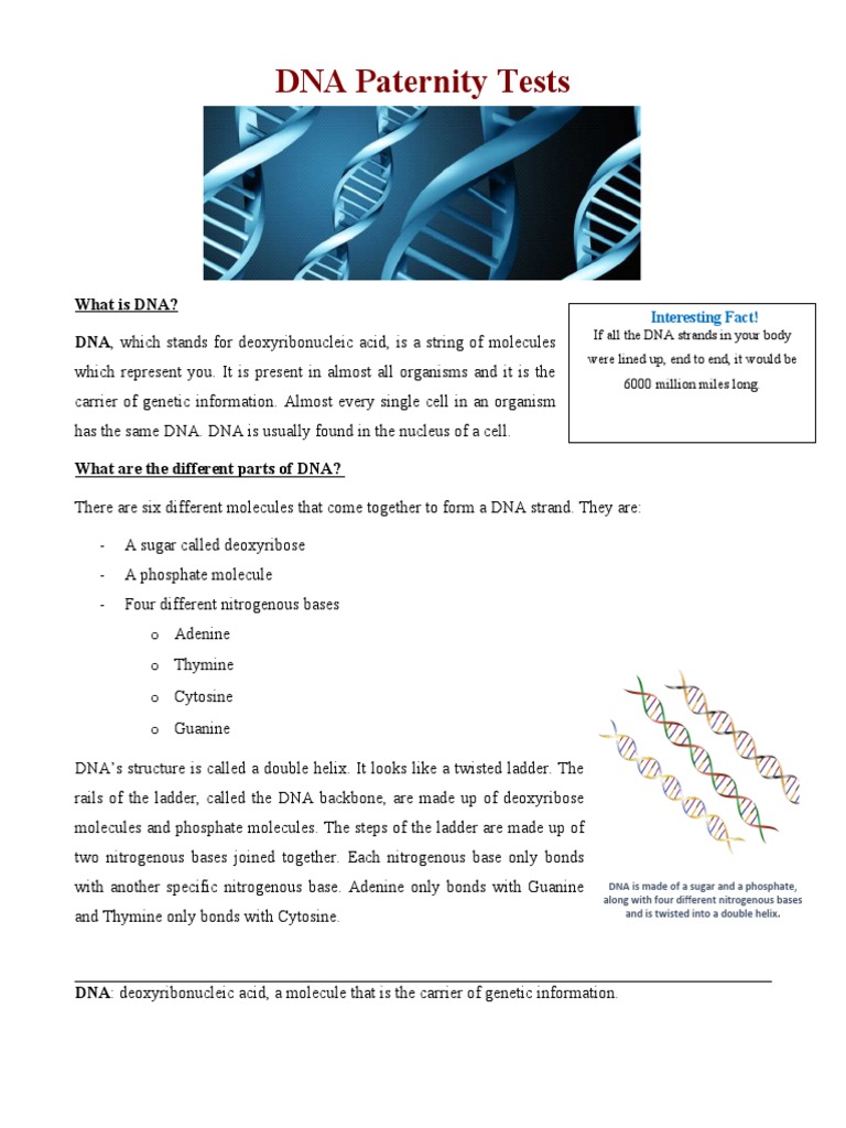 DNA Paternity Tests | PDF | Dna | Dna Profiling