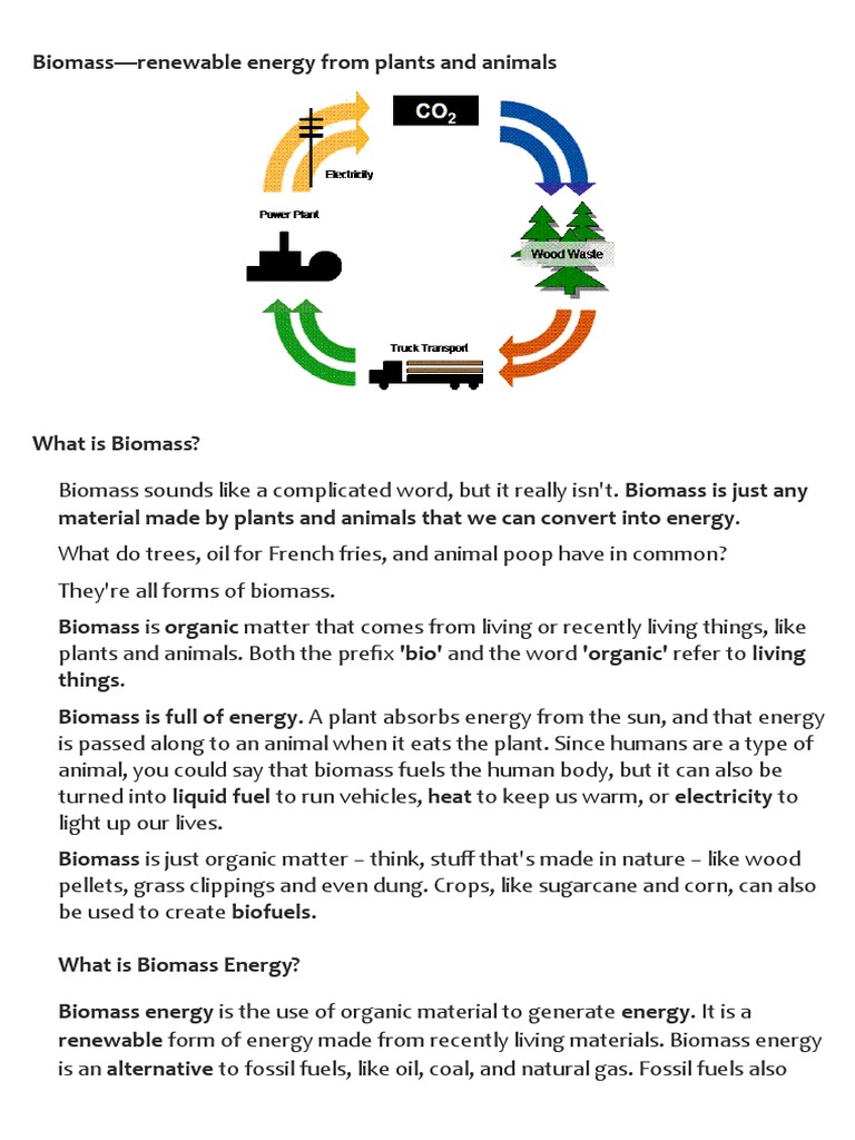 Biomass Lesson | PDF