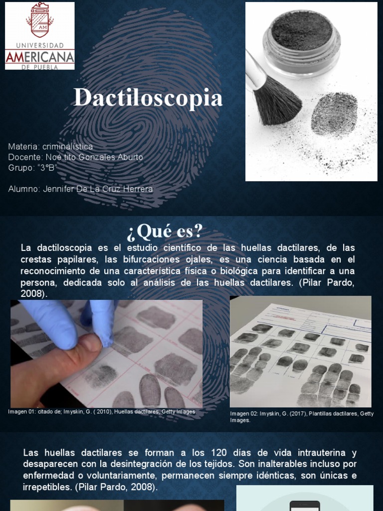 Dactilos | PDF
