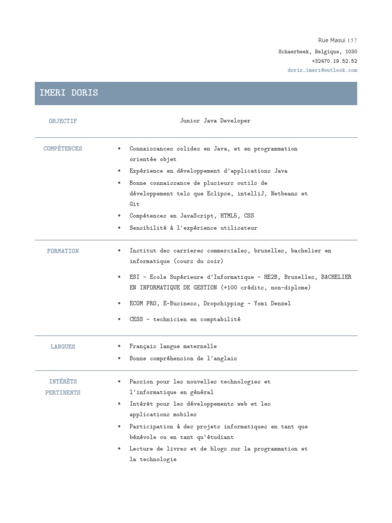 Cv Junior Java Developer Pdf Pdf