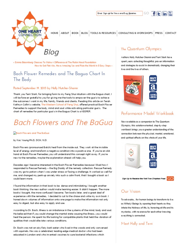 Bach Flower Remedies and The Bagua Chart in The Body One Heart ...