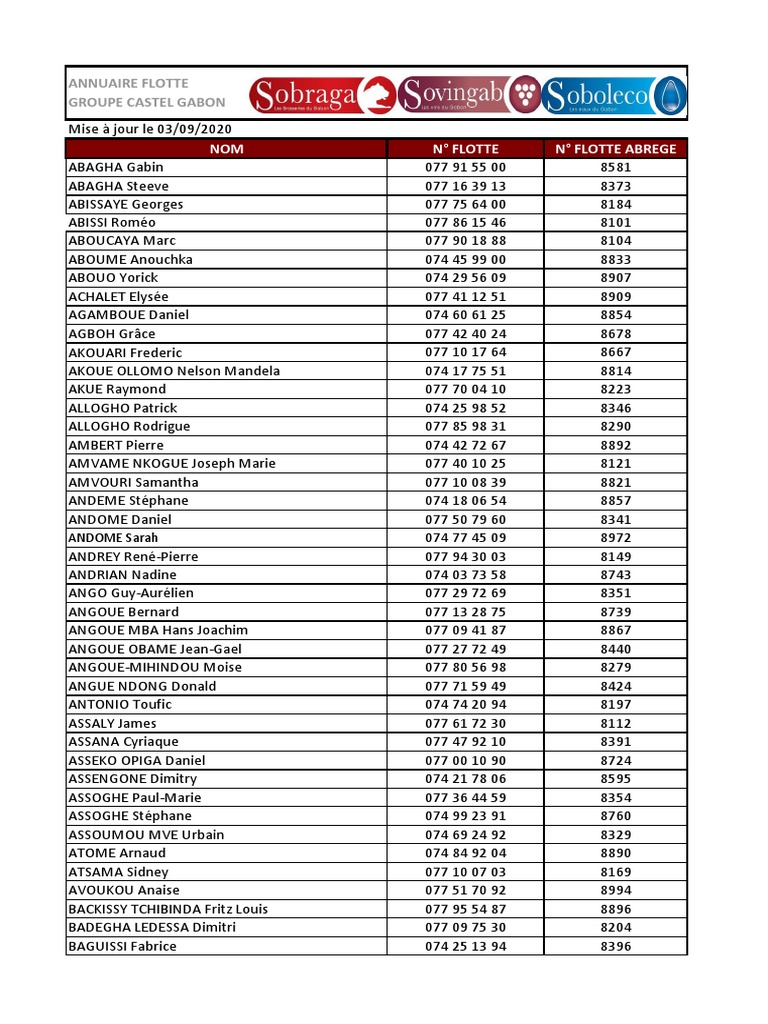 Annuaire Flotte - Groupe Castel Gabon - SEPTEMBRE 2020 | PDF