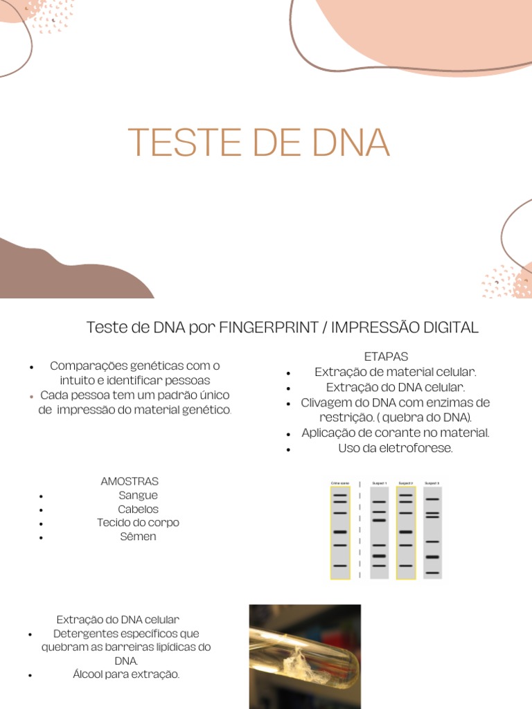 Teste de Dna | PDF