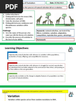 Evolution Station Cards BIOLOGY COMPLETE WORSHEET ASSIGNMENT ANSWERS ...