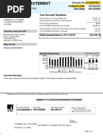 Duke Energy Bill | PDF