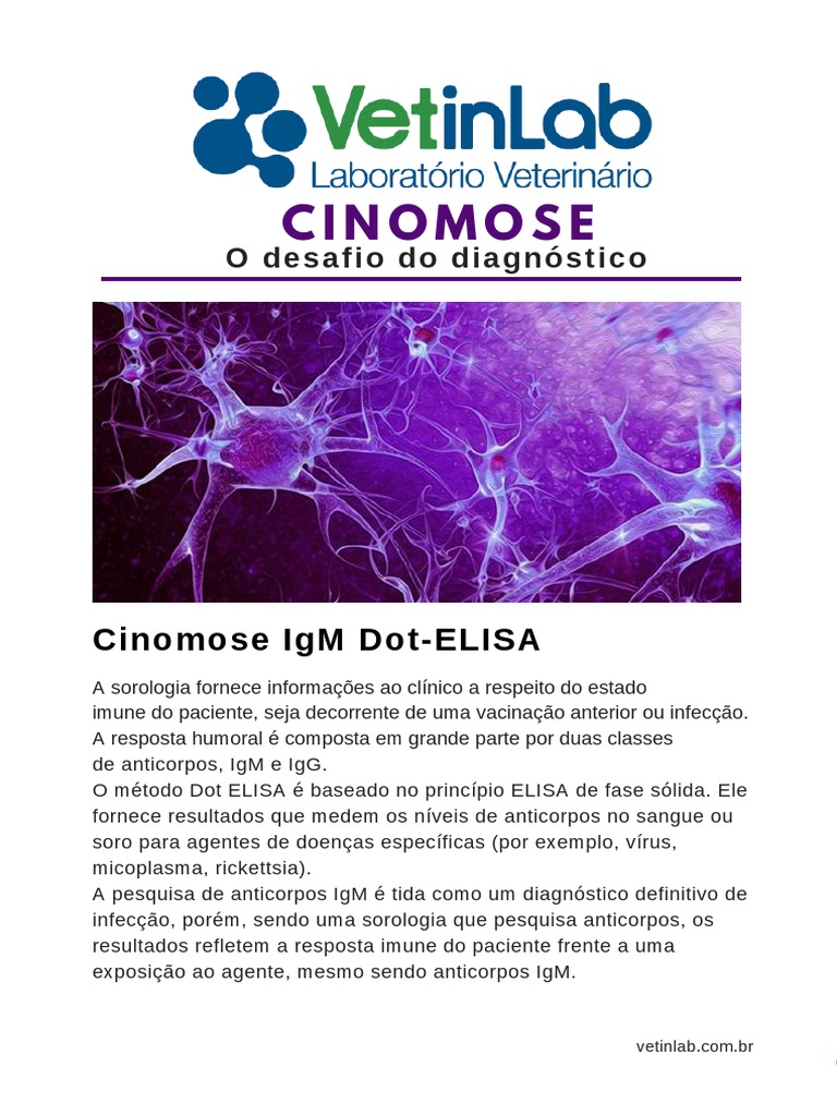 Cinomose Igm Dot-ELISA - VetinLab | PDF | Elisa | Anticorpo