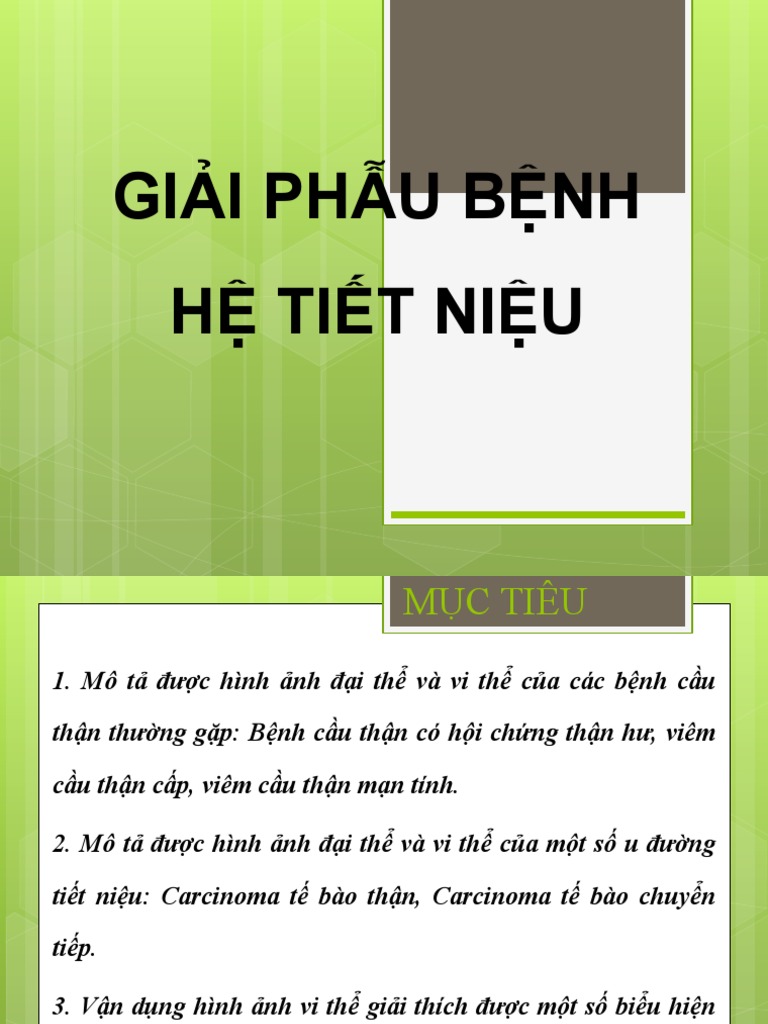 Httpselearning.tump.Edu.vnpluginfile.php161448mod ...