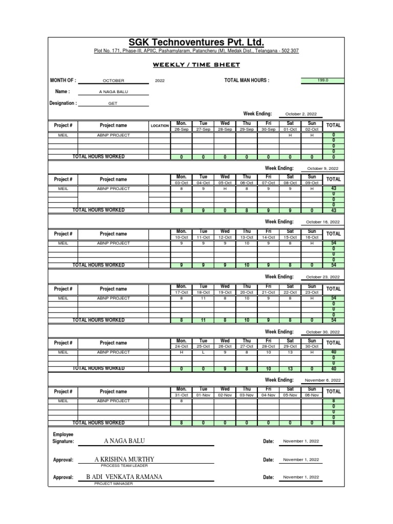 Naga Balu Time Sheet October | PDF