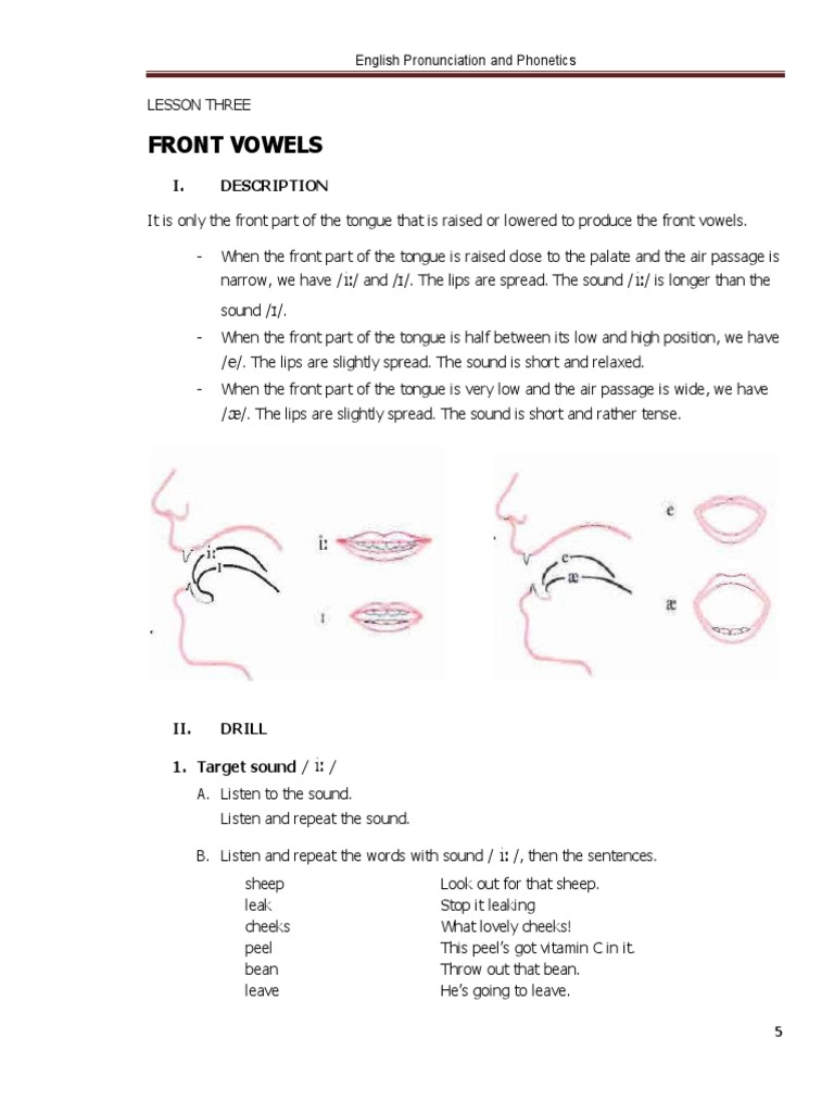 Lesson 3 | PDF | Linguistics | Phonetics