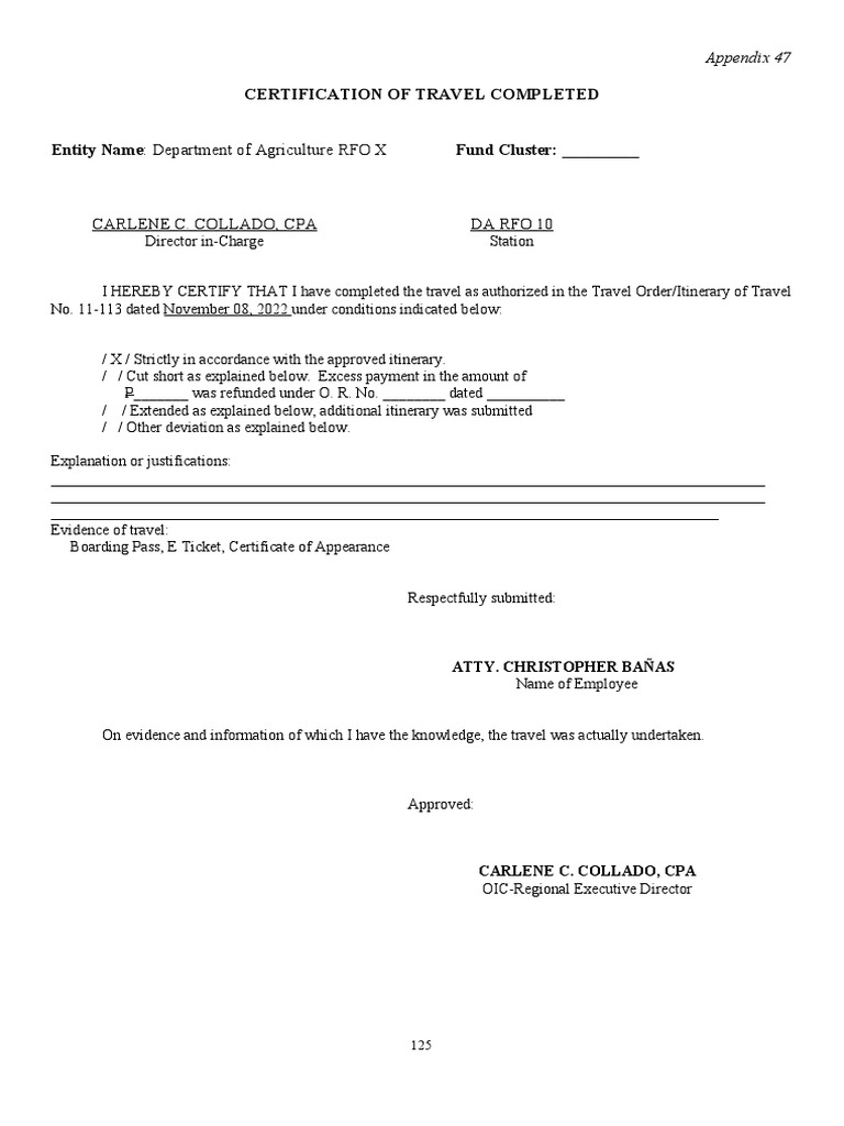 Travel Certification Document RFO X | PDF