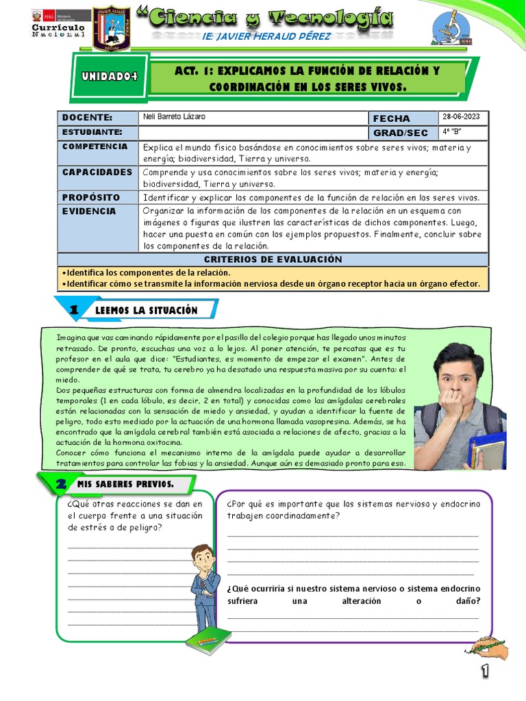 A-4º Act 1 Sem 1 5656 | PDF | Cerebro | Sistema endocrino