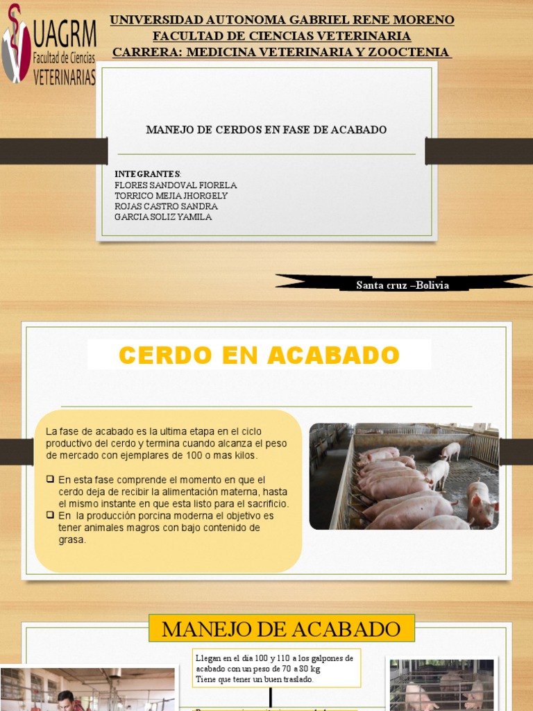 Acabado Cerdo | PDF | Alimentos | Nutrición