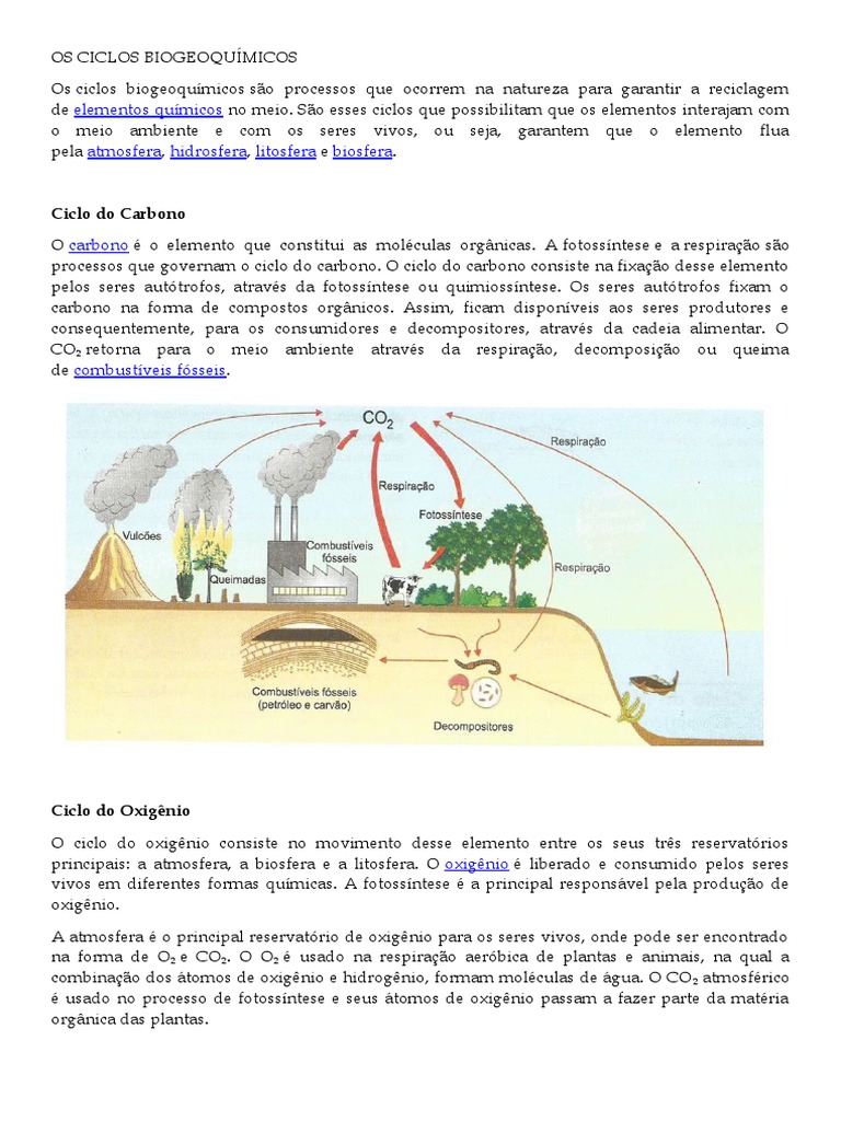Os Ciclos Biogeoquímicos | PDF
