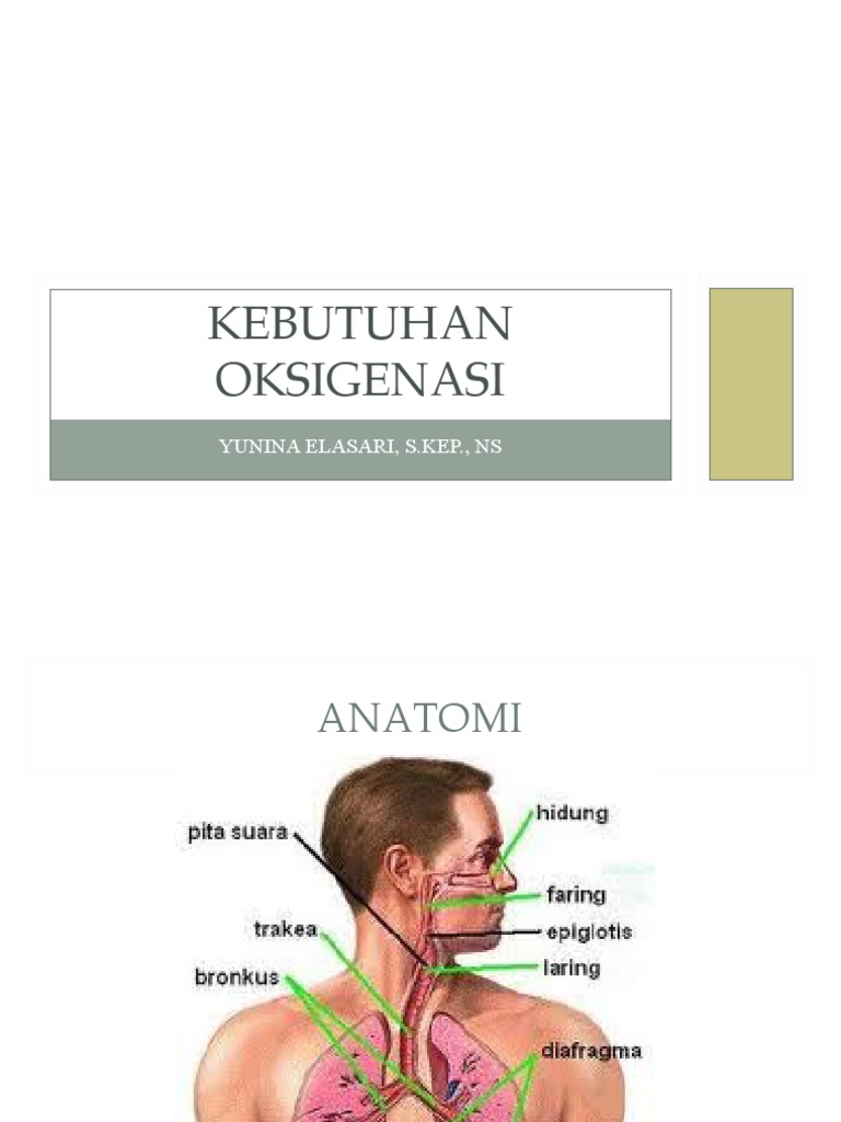 Kebutuhan Oksigenasi | PDF | Kajian Bahasa Asing | Kesehatan Holistik