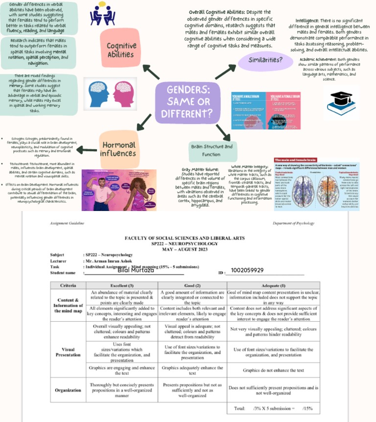 Neuro Mindmap 3 Pdf Memory Sex Differences In Humans