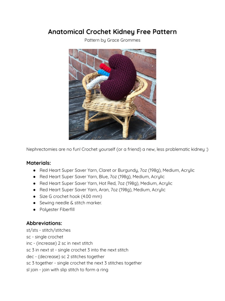 Anatomical Crochet Kidney - Google Docs | PDF | Teaching Methods ...