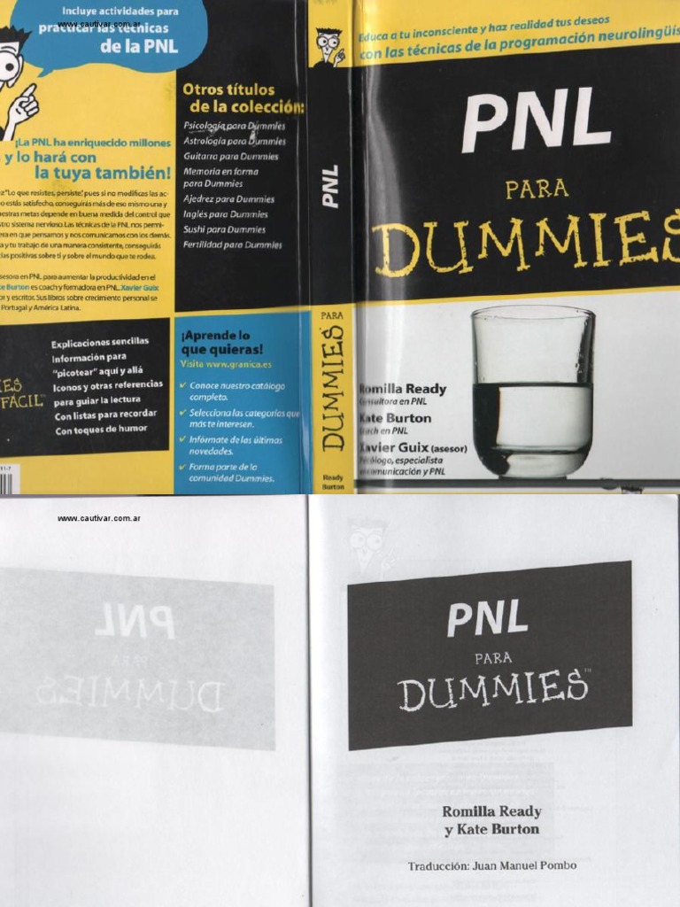 PNL para Dummies | PDF