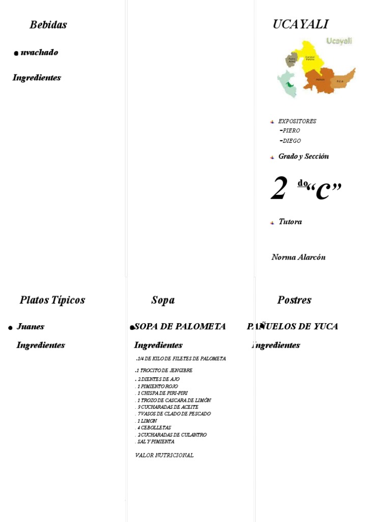 UCAYALI Triptico | PDF