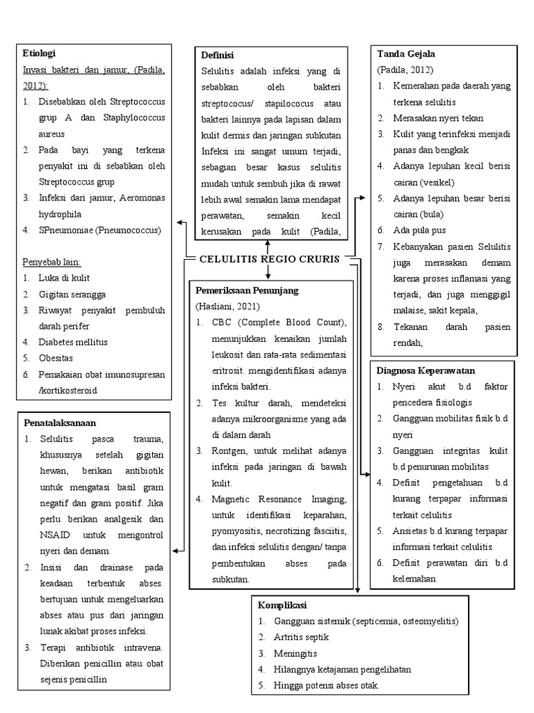Mind Map Celulitis | PDF