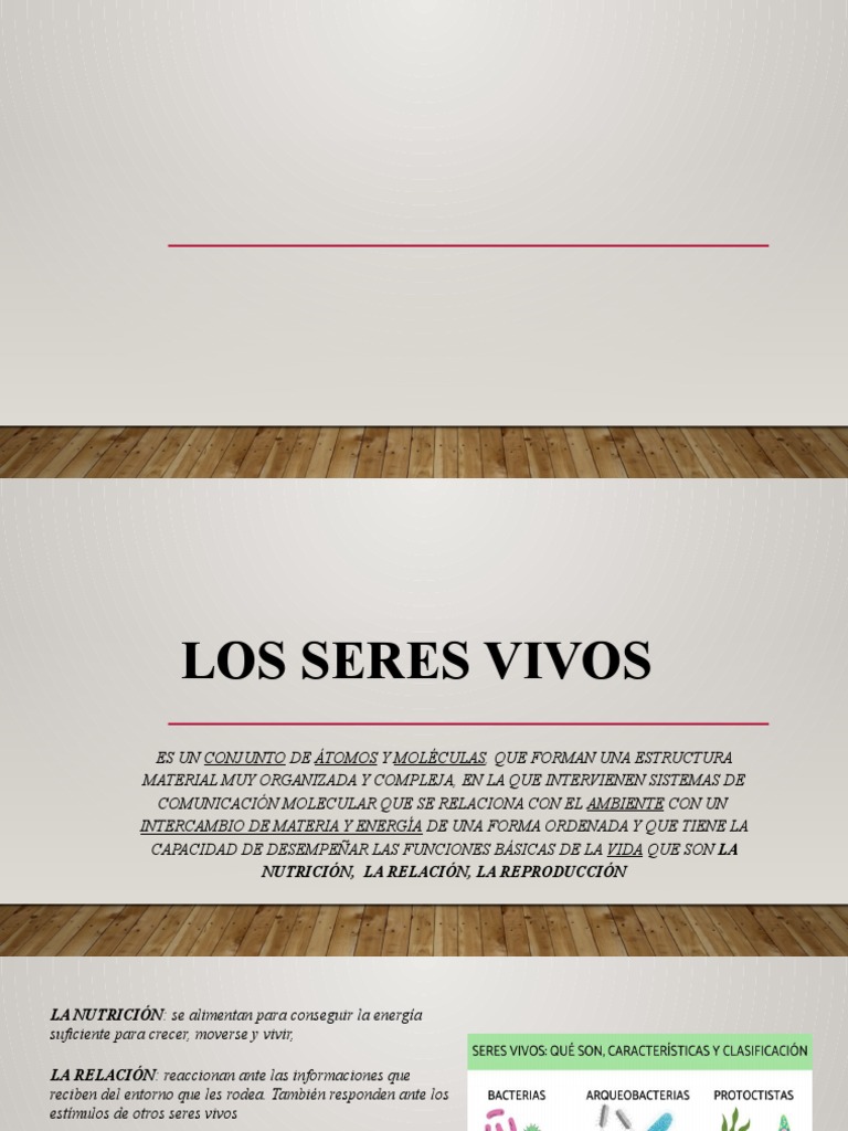 Los Seres Vivos 1concepto | PDF | Organismos | Plantas