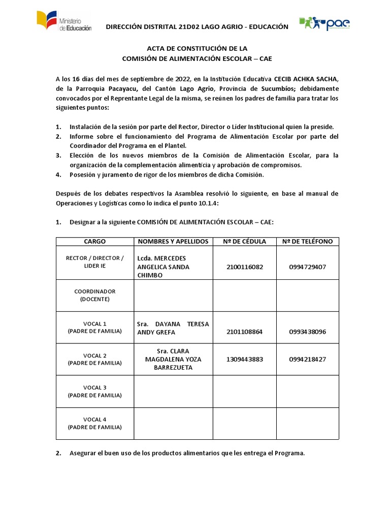 Formulario Cae | PDF