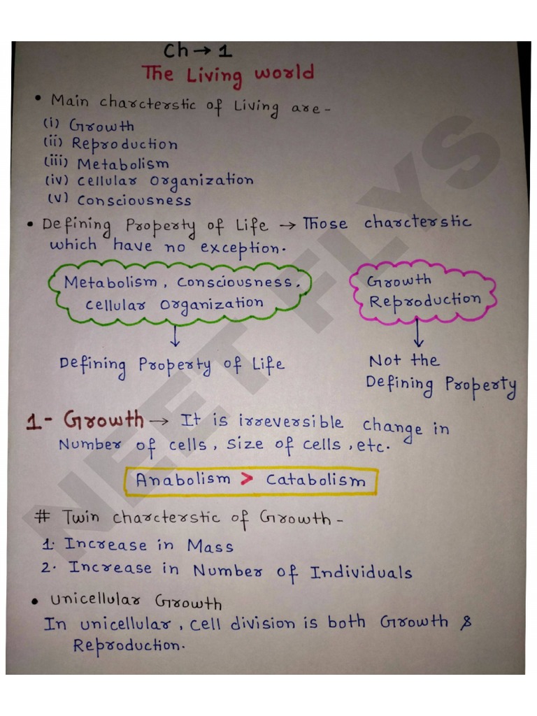 The Living World ? NOTES | PDF