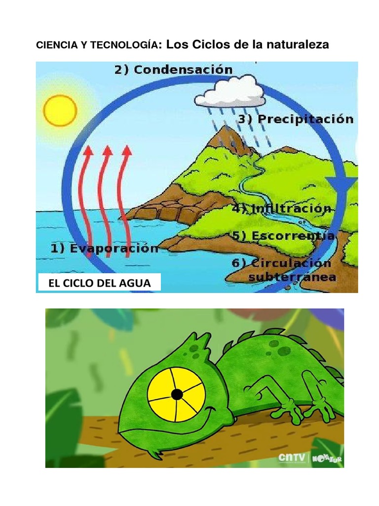Cyt-Ciclos de La Naturaleza | PDF