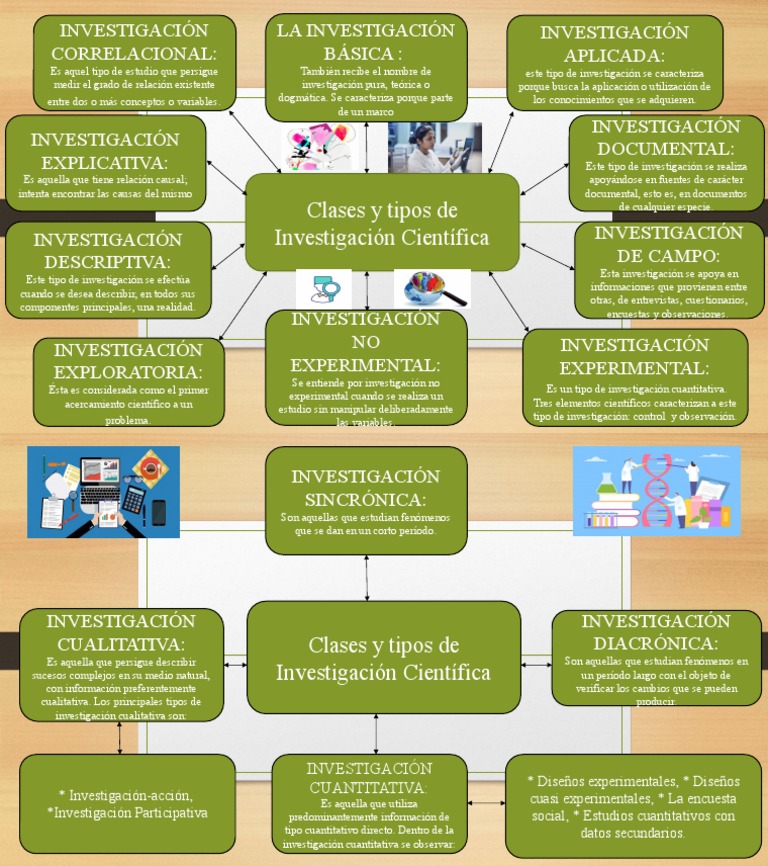 Elabore Un Mapa Conceptual Sobre Los Tipos de Investigación. | PDF