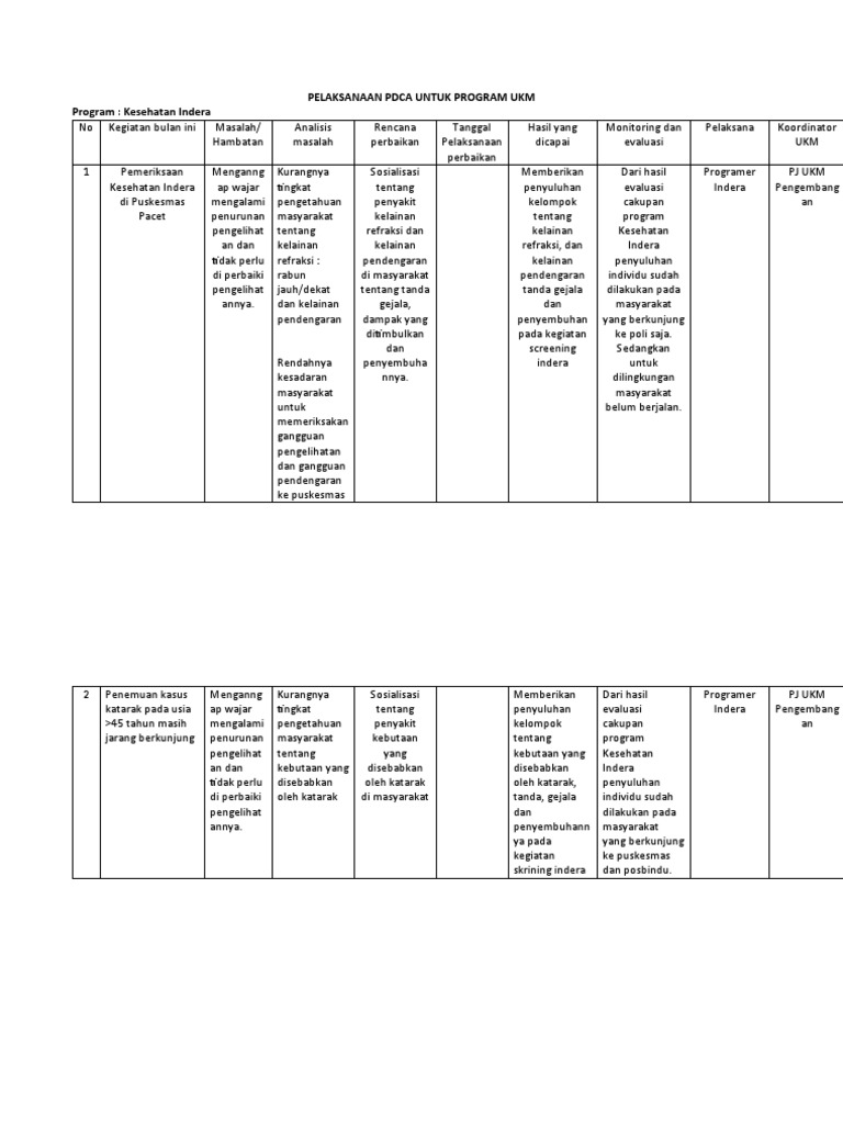PDCA Program Indera Juni | PDF